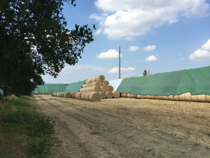 Breathable Hay Tarp 32' x 41' (37 lb) - SMALL (Free Shipping ...